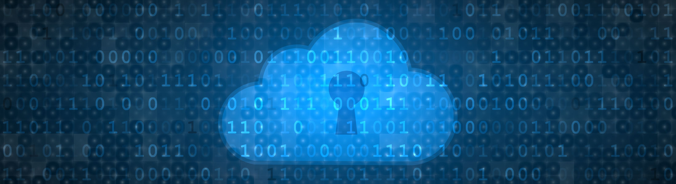 Privacy Policy - CSN Collision
